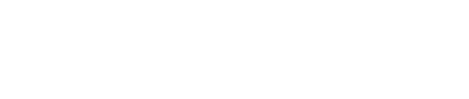 Steve Salis, Founder & CEO | 22 Real Estate Holdings